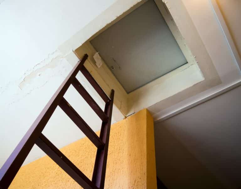 Choosing the Best Type of Attic Steps for Your Home | Fox Mountain ...