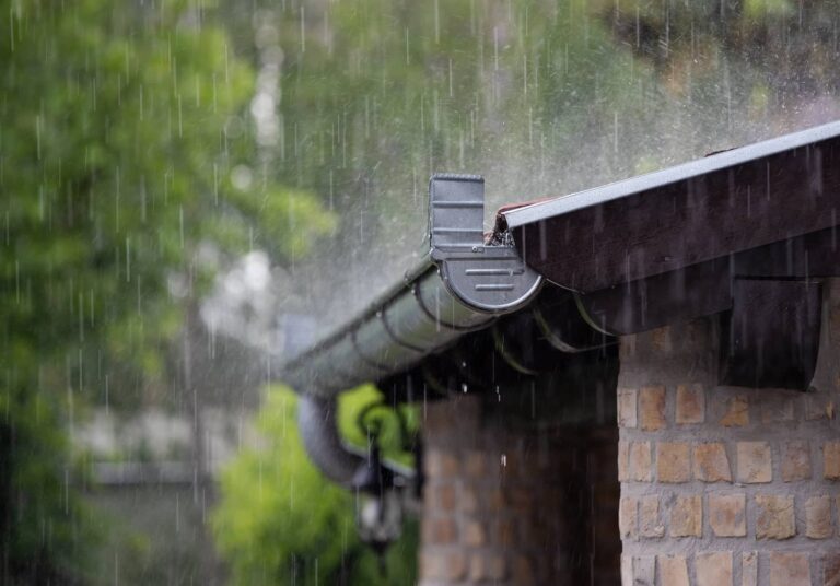 Most Common Types of Storm Drainage and How They Work | Fox Mountain ...